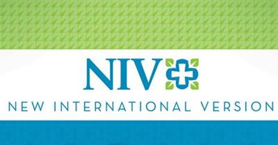 Criticisms of the NIV Bible | George's Journal