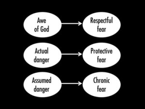 Three types of fear | George's Journal