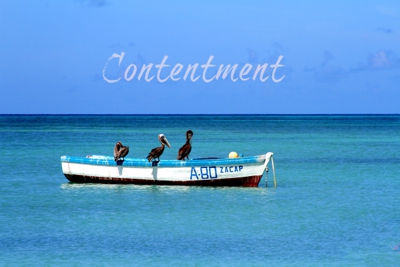 How to be contented | George's Journal