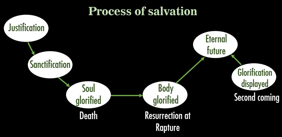 Good times ahead | George's Journal